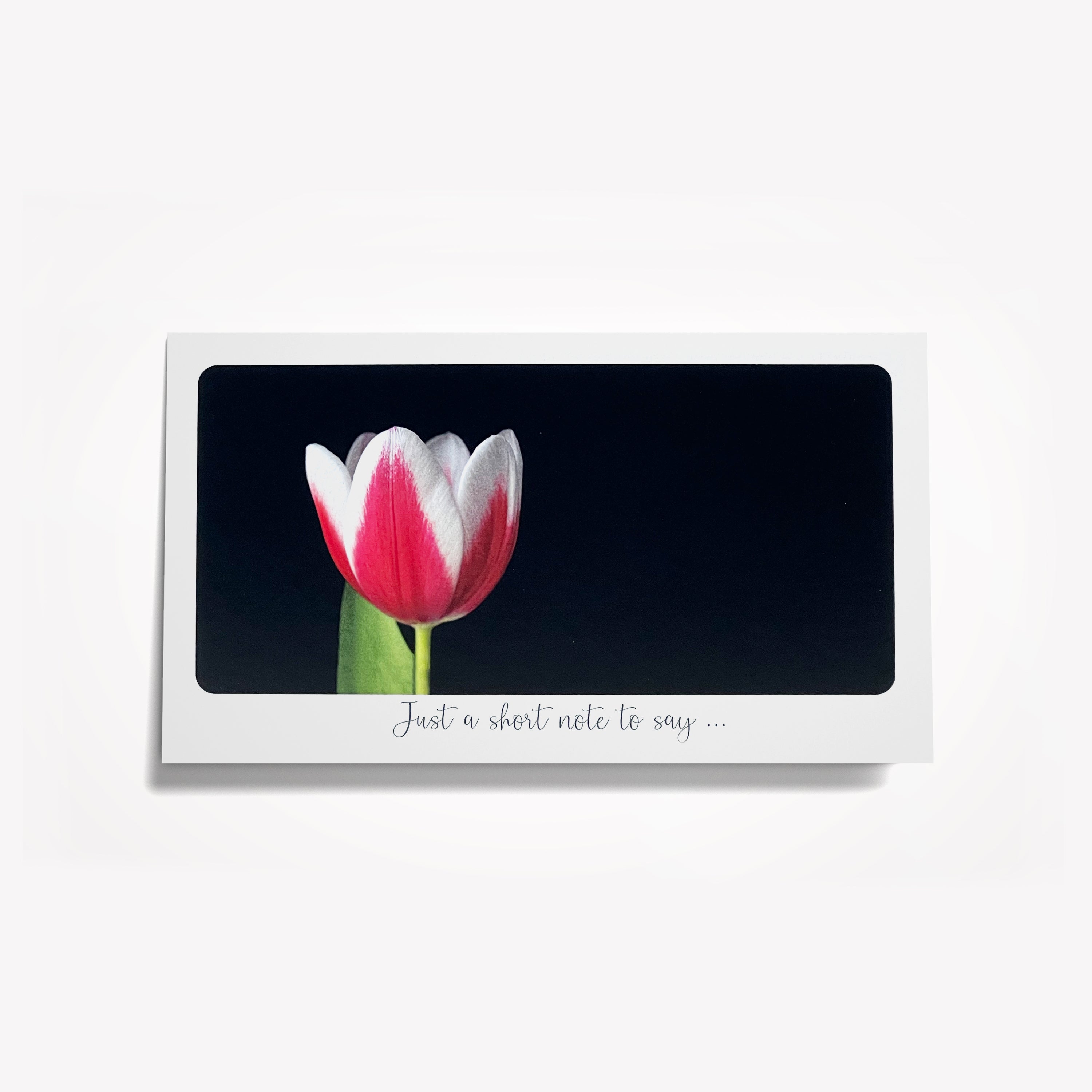 Short Notes: Red and White Tulip on Black. Size: 6.25"x3.5" – Grace ...